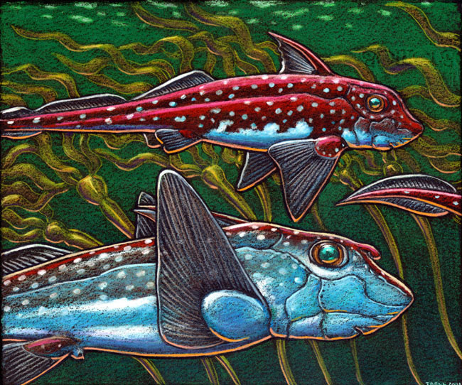 The Intersection of Art and Fish · News · Lafayette College
