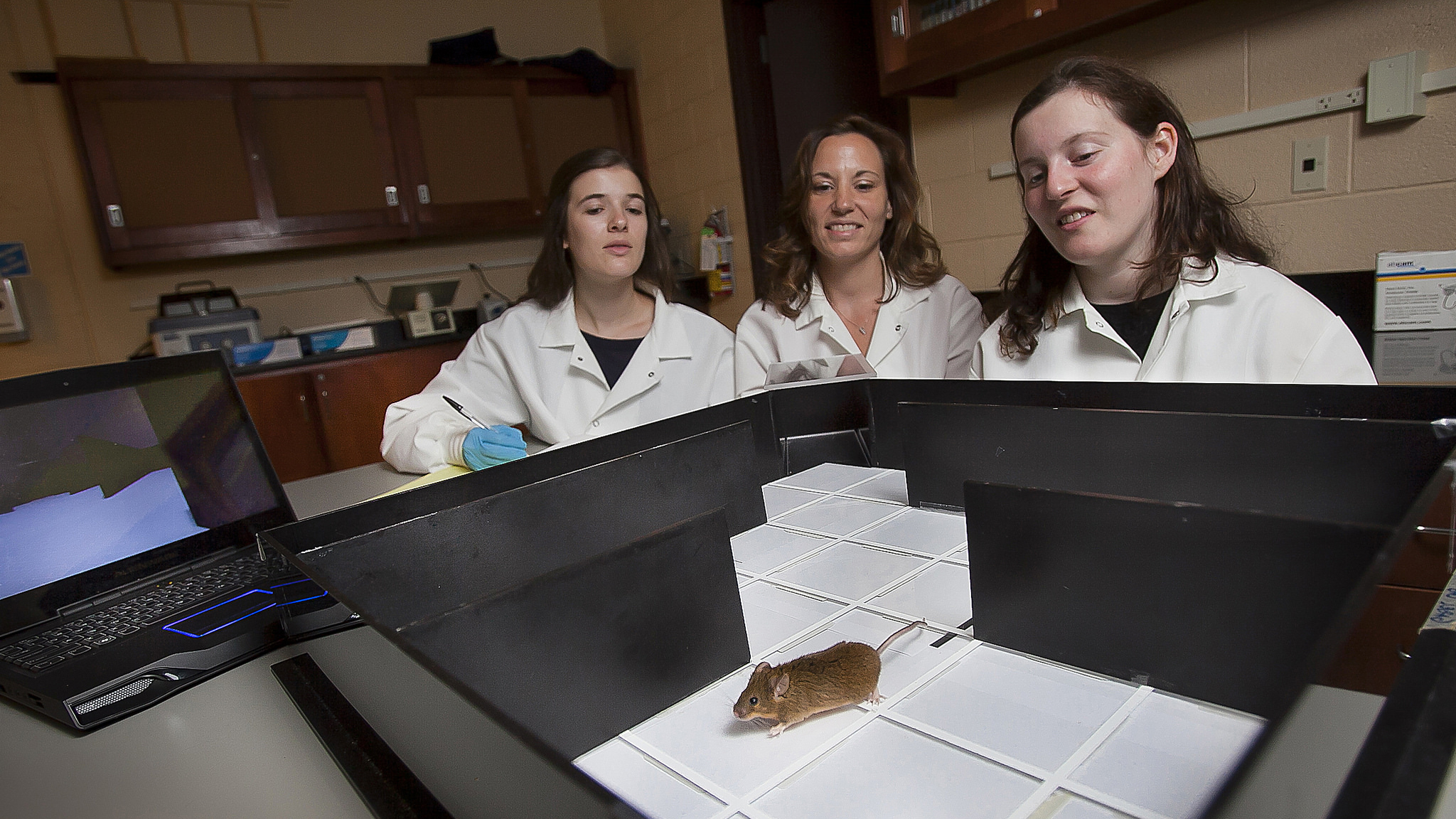 Three Professors Honored · News · Lafayette College