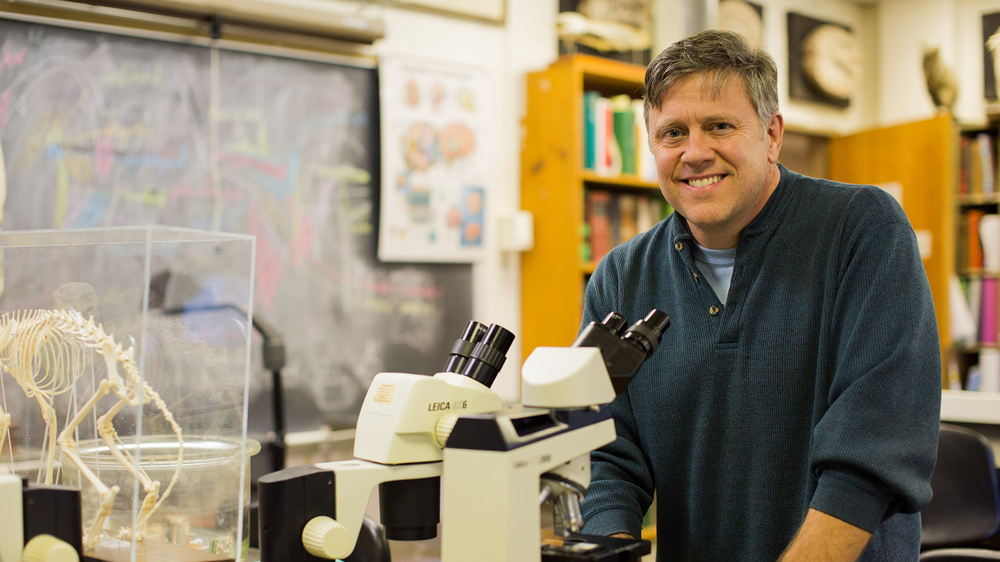 What Turtles Can Teach Us About the Winter Blues · News · Lafayette College