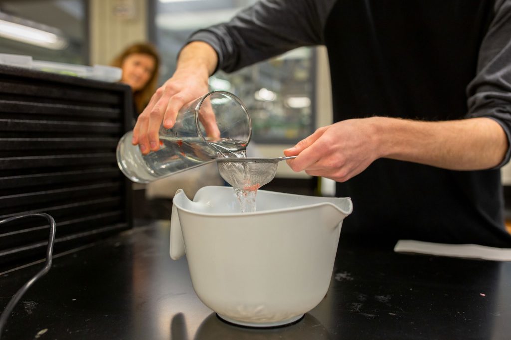 A Food Burst in Your Mouth · News · Lafayette College