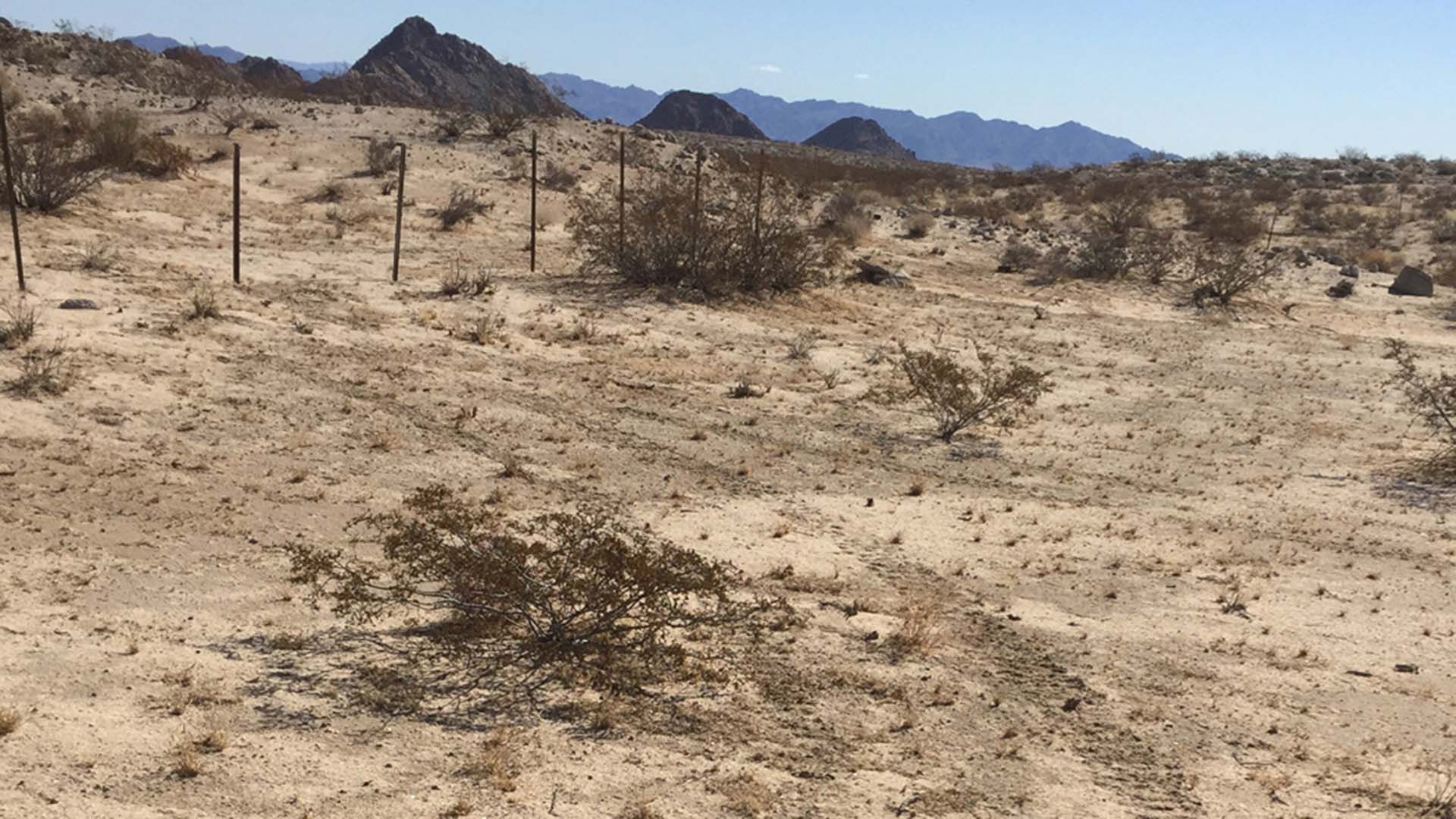 Art in the Desert Soil · News · Lafayette College