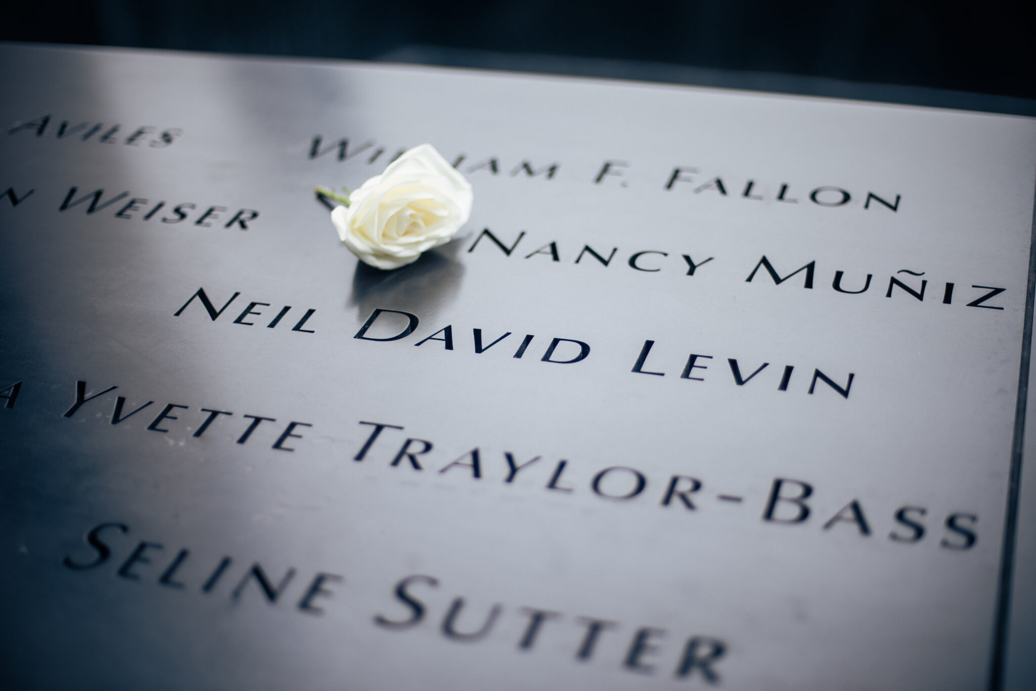 Remembering Neil Levin ’76 · News · Lafayette College