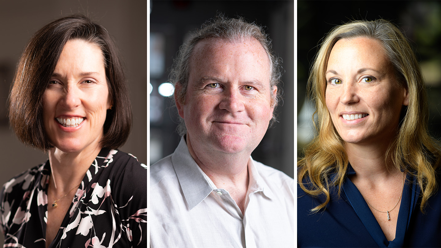 Celebrating faculty: Named chairs and professorships · News · Lafayette ...