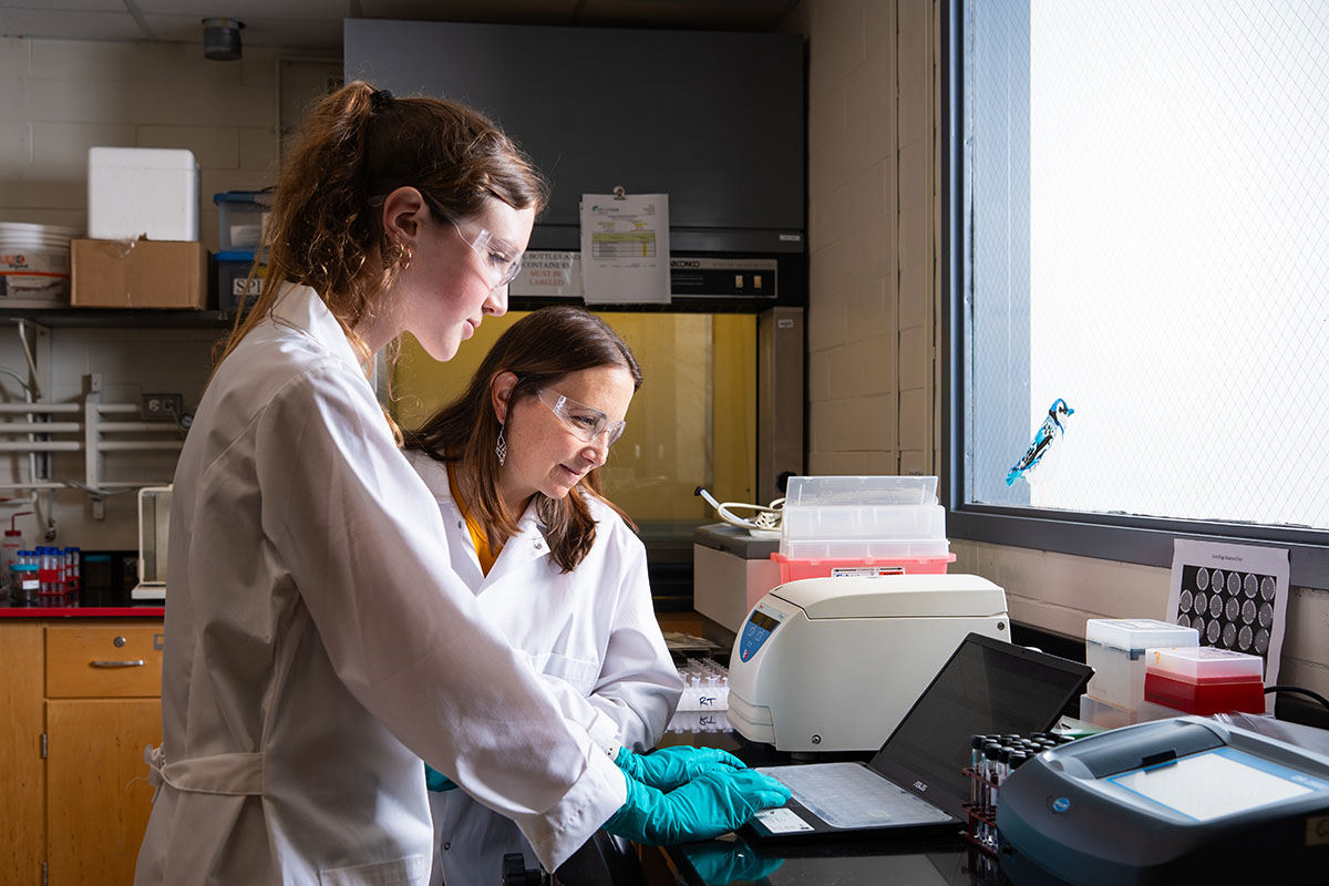 Finding a resource in what remains · News · Lafayette College
